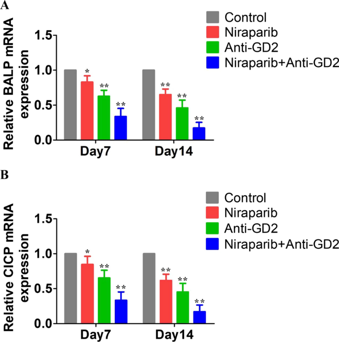 Combined use of niraparib enhanced the inhibitory effect of Anti-GD2 ...