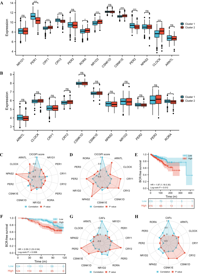 Identification of circadian clock-related immunological prognostic ...