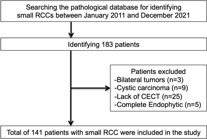 Role of collateral vessels on contrast-enhanced computed tomography in ...