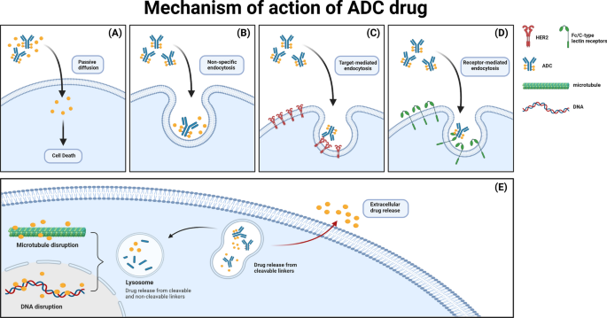 Advancements in research and clinical management of interstitial lung ...