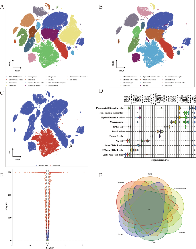 Revolutionizing ESCC prognosis: the efficiency of tumor-infiltrating ...