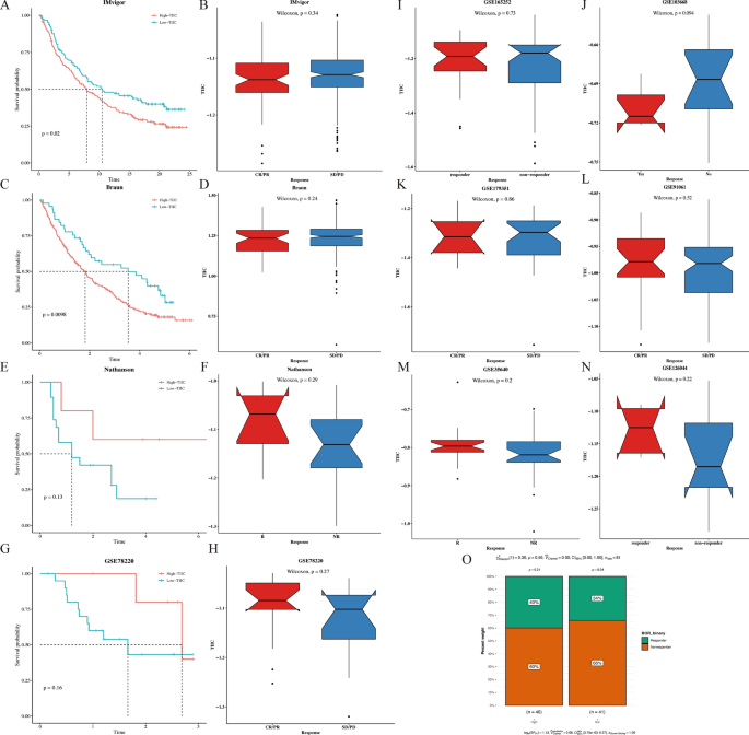 Revolutionizing ESCC prognosis: the efficiency of tumor-infiltrating ...