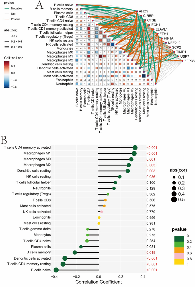 Integrative single-cell and multi-omics analyses reveal ferroptosis ...