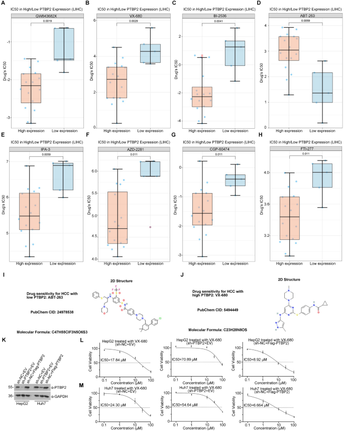 Analysis and identification of PTBP2 as an oncogene in hepatocellular ...