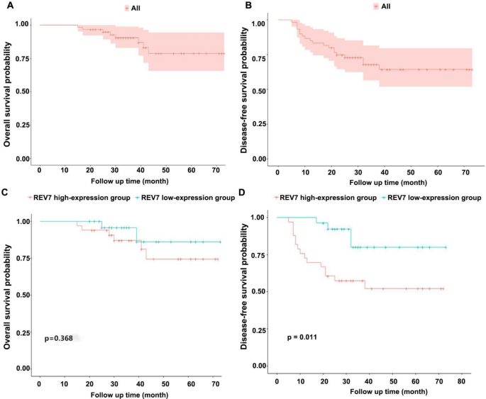 Expression of REV7 has prognostic significance in cervical cancer ...