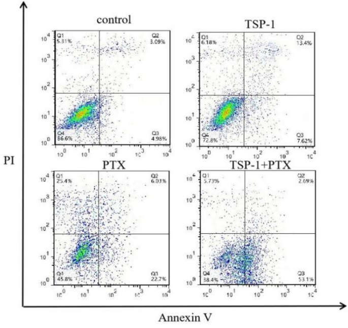 Thrombospondin-1 induces immunogenic cell death in human mucoepidermoid ...