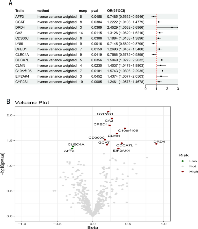 Integration of single-cell sequencing and mendelian randomization reveals novel causal pathways ...