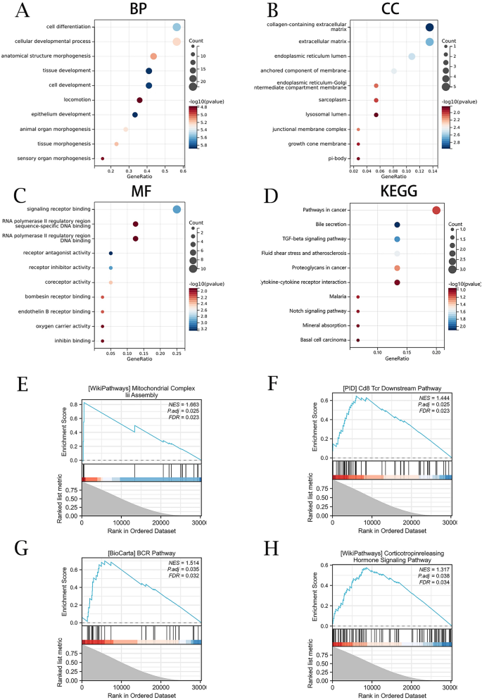 Integrated bioinformatics and functional studies identify CDK9 as a ...