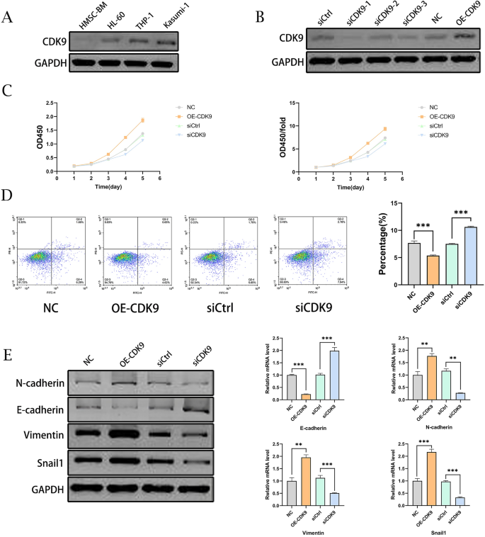 Integrated bioinformatics and functional studies identify CDK9 as a ...