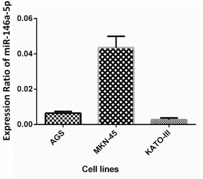 miR-146a-5p suppresses migration and downregulates vimentin and MMP-9 ...