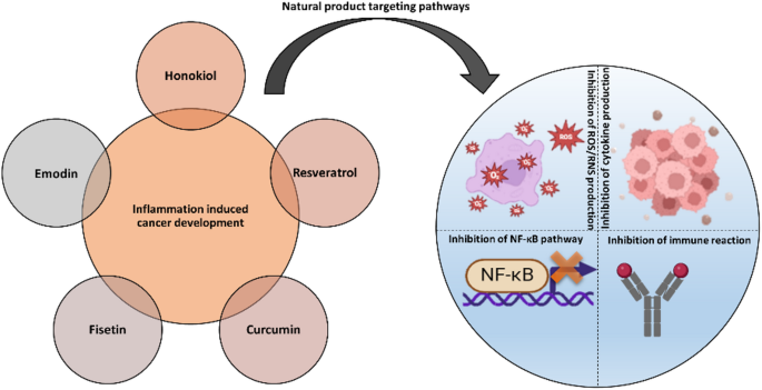 Natural products as therapeutic interventions for inflammation-mediated ...