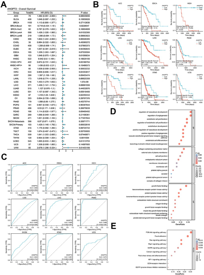 Integrated pan-cancer and melanoma-specific analysis of angiopoietin-2 ...