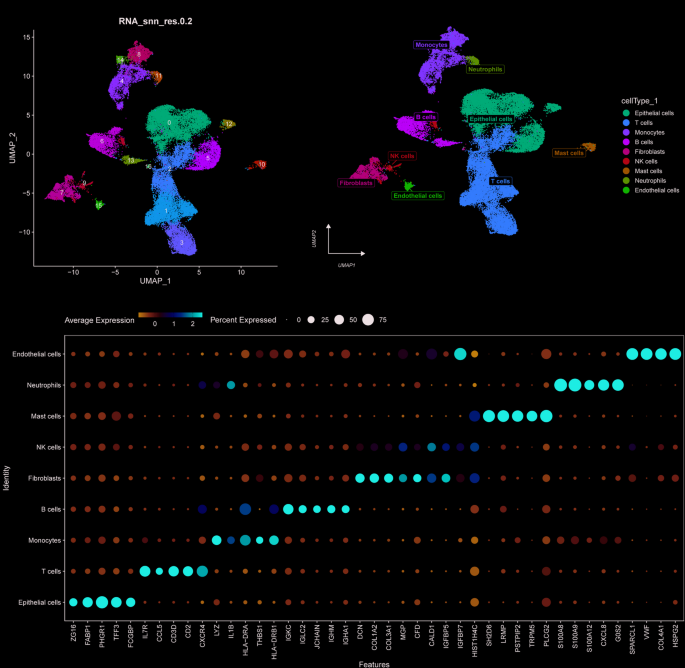 Integrated single-cell transcriptomics and Mendelian randomization ...