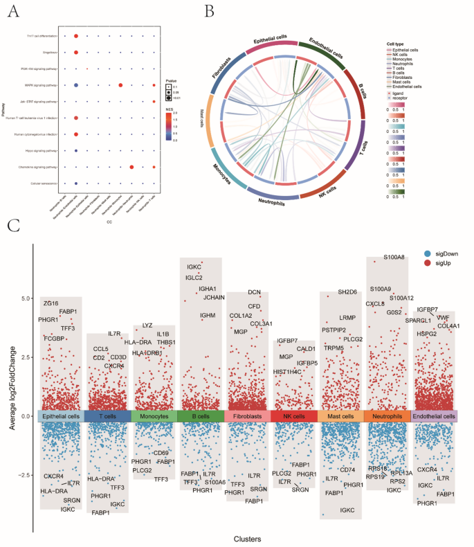 Integrated single-cell transcriptomics and Mendelian randomization ...