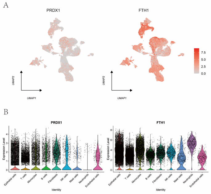Integrated single-cell transcriptomics and Mendelian randomization ...