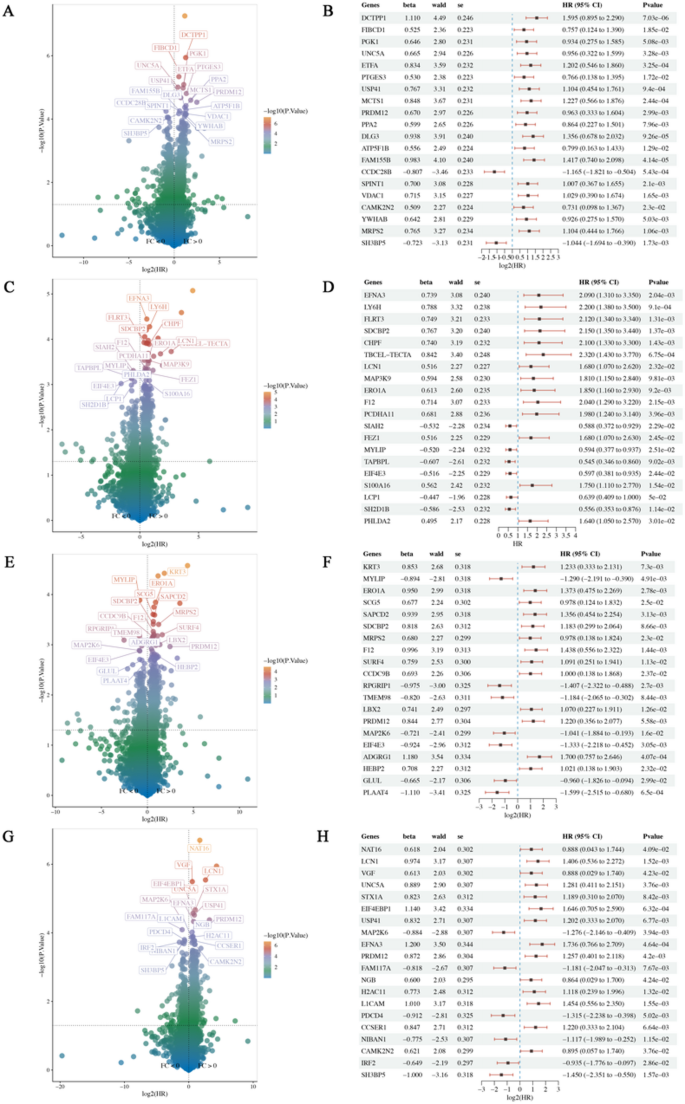 Research of SLC7A11 to estimate the prognosis and immune infiltration ...
