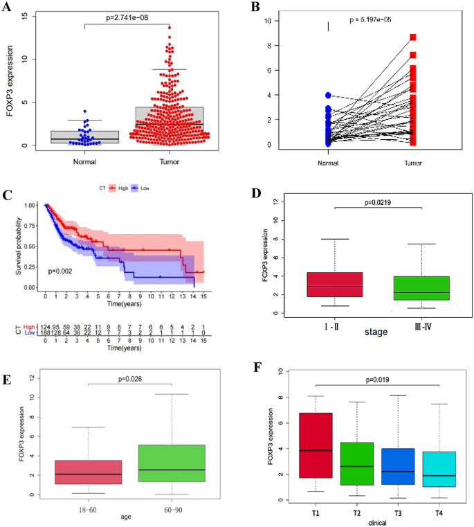 Expression of FoxP3 in oral squamous cell carcinoma and its biological ...