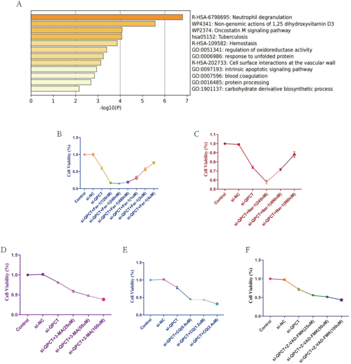 Fedratinib inhibits ovarian cancer progression by downregulating QPCT ...