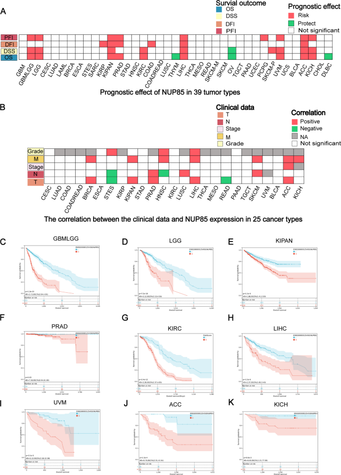 Comprehensive pan-cancer evaluation of NUP85 prognosis, immune ...
