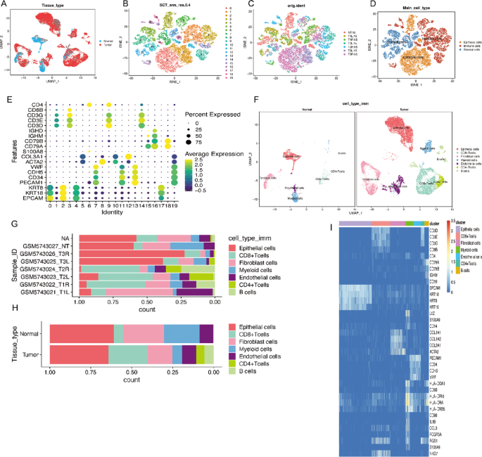 Prognostic significance of GPR132 in papillary thyroid carcinoma ...