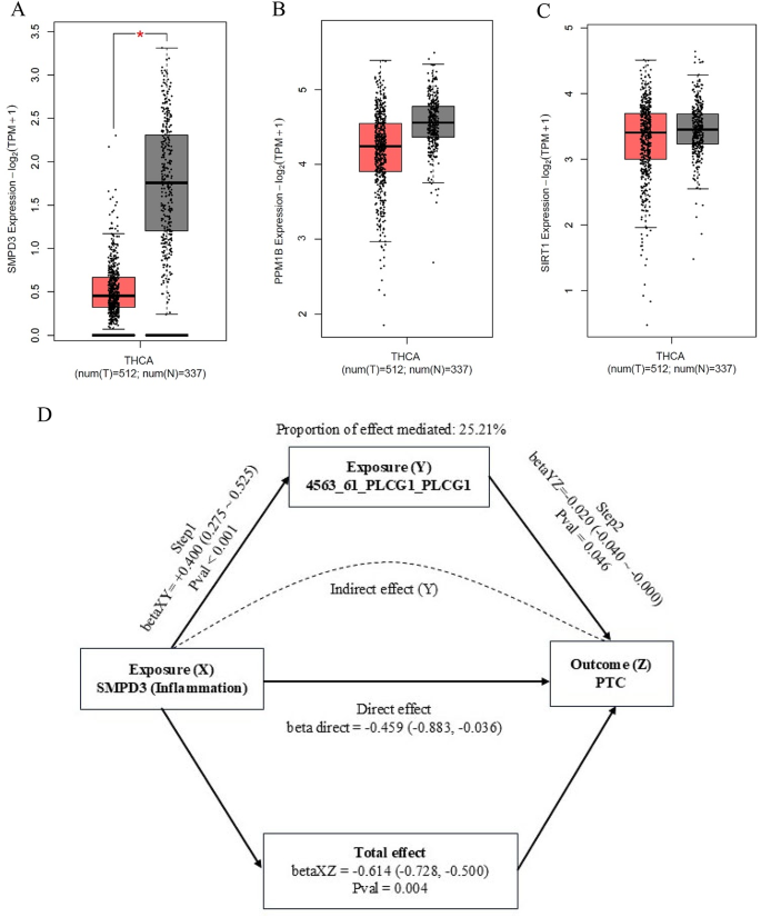 Inflammation related proteins and PLCG1 may contribute to papillary ...