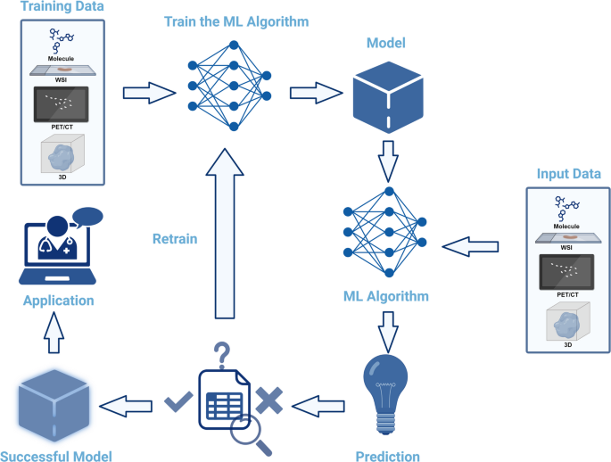 Clinical applications of artificial intelligence in the histopathology ...