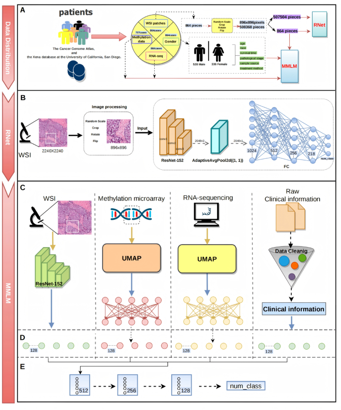 A deep learning model for multiclass lung cancer classification using multimodal data fusion ...