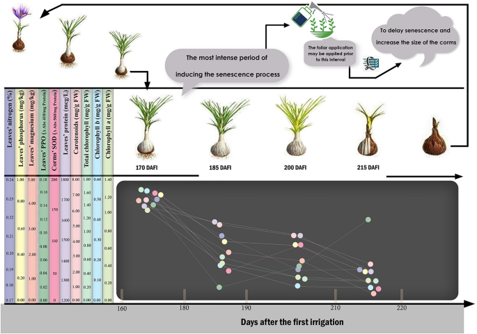 Macronutrients and biochemical compounds' changes in the leaves and ...