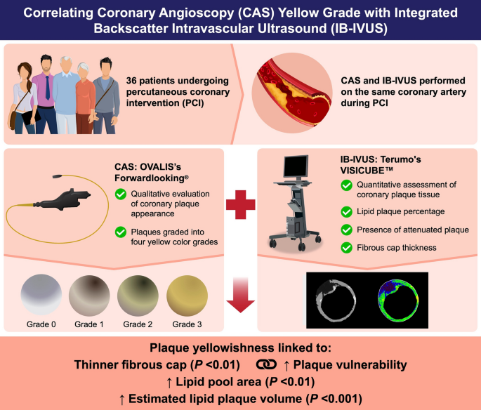 Correlation between coronary angioscopy yellow grade and lipid plaque ...