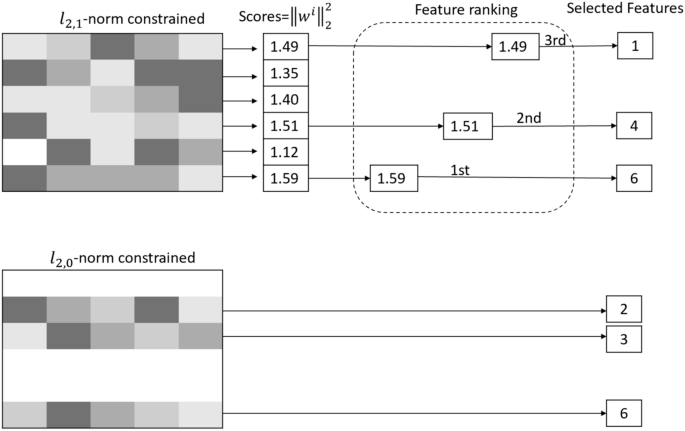 Subspace learning via Hessian regularized latent representation learning with $${l}_{2,0 ...