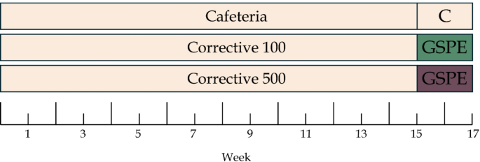 Subchronic modulation of bitter taste receptors (TAS2R) by procyanidins ...