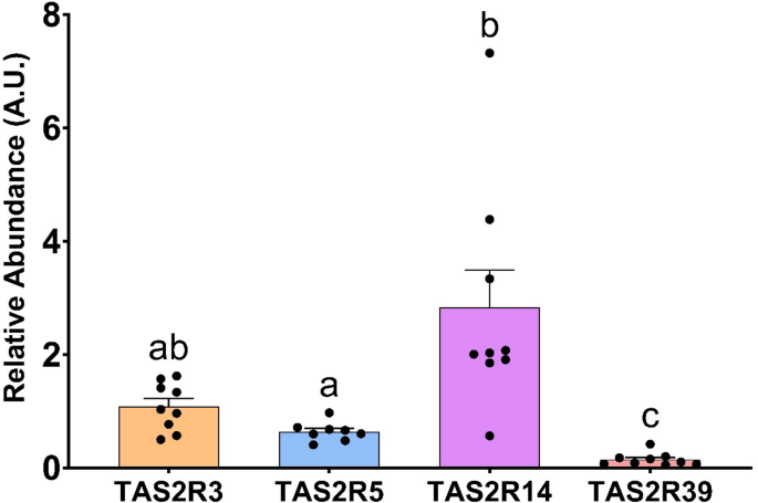Subchronic modulation of bitter taste receptors (TAS2R) by procyanidins ...