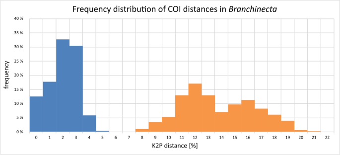South! Phylogeography of the Antarctic fairy shrimp Branchinecta gaini ...