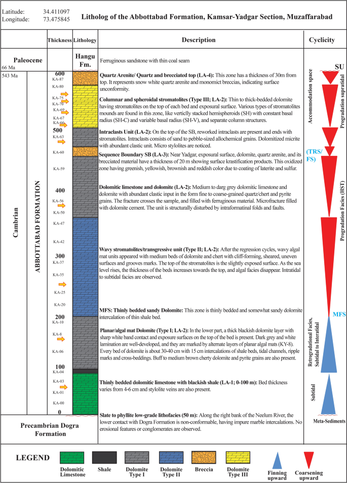 Dolomitized stromatolites during regressive-transgressive cycles in the ...