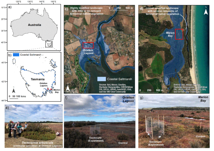 Effects of Grazing by Native and Non-Native Terrestrial Vertebrates on ...