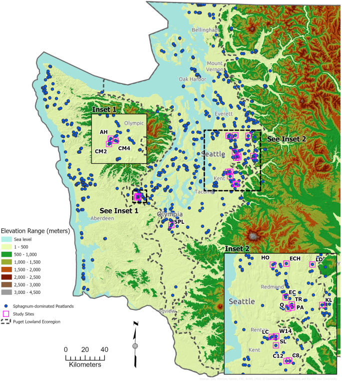 Hydrogeochemical and Vegetation Characterization of Sphagnum-dominated ...