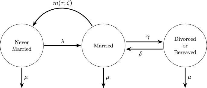 A mathematical model of human population reproduction through marriage ...