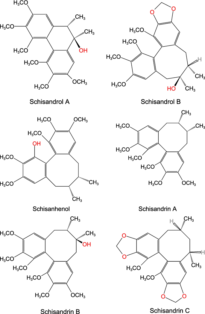 Schisandra chinensis in noncommunicable disease management: therapeutic ...