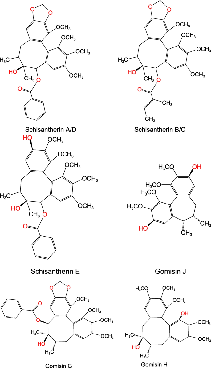 Schisandra chinensis in noncommunicable disease management: therapeutic ...