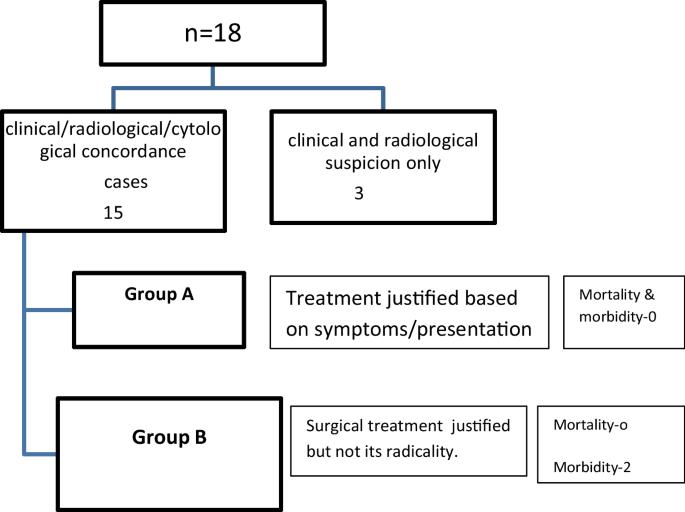 Great Mimics in Oncology: A Retrospective Study from a Tertiary Care ...