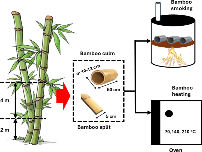 Revealing changes in the physical, mechanical, and chemical properties ...