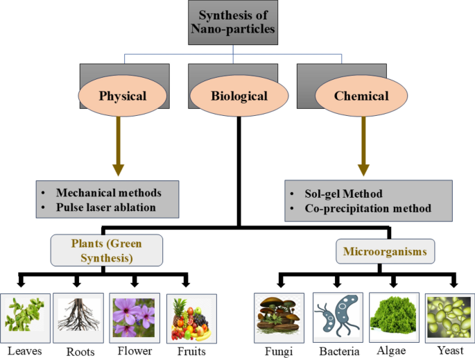 Nano-edible coatings for quality enhancement and shelf-life extension ...