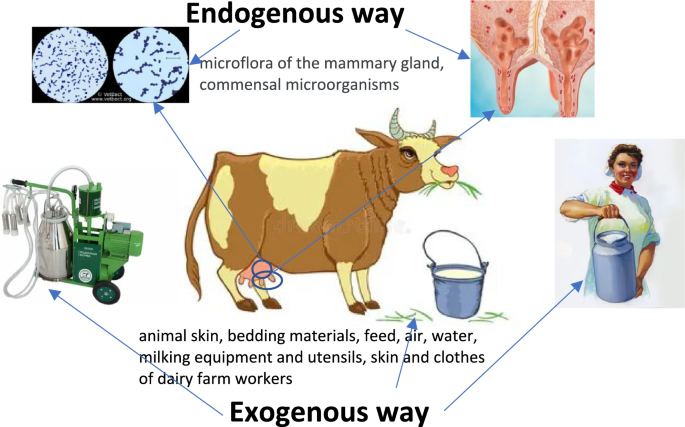 Current trends in the determination of microbiological indicators of ...