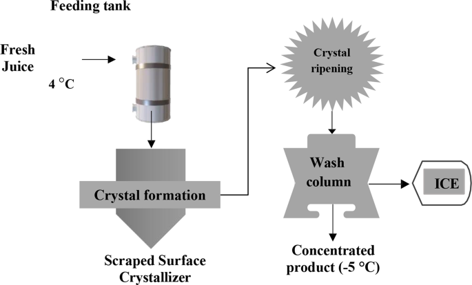 Cryoconcentration: an integrated agro food processing technique for ...
