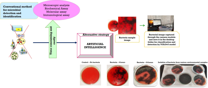 Detection of foodborne Listeria monocytogenes using deep learning ...