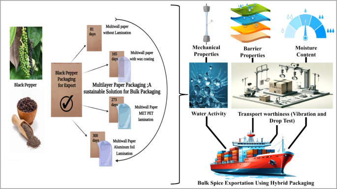 Sustainable export packaging for black pepper: paper-based solutions ...
