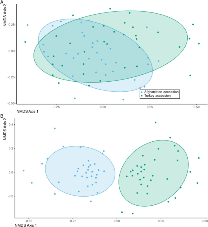 Exploring the influence of seed bacteria and fungi on seed germination ...