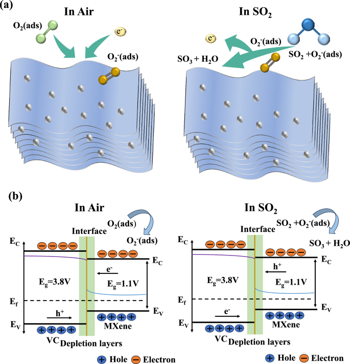Highly sensitive MXene-based SO2 sensor enhanced by modification of ...