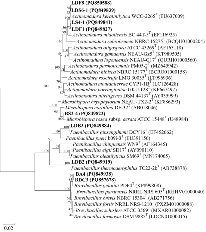 Profiling of the bacterial community and the degradative capability of newly isolated poly ...