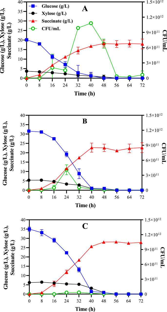 Efficient bioconversion of deinked paper sludge into valuable biobased ...